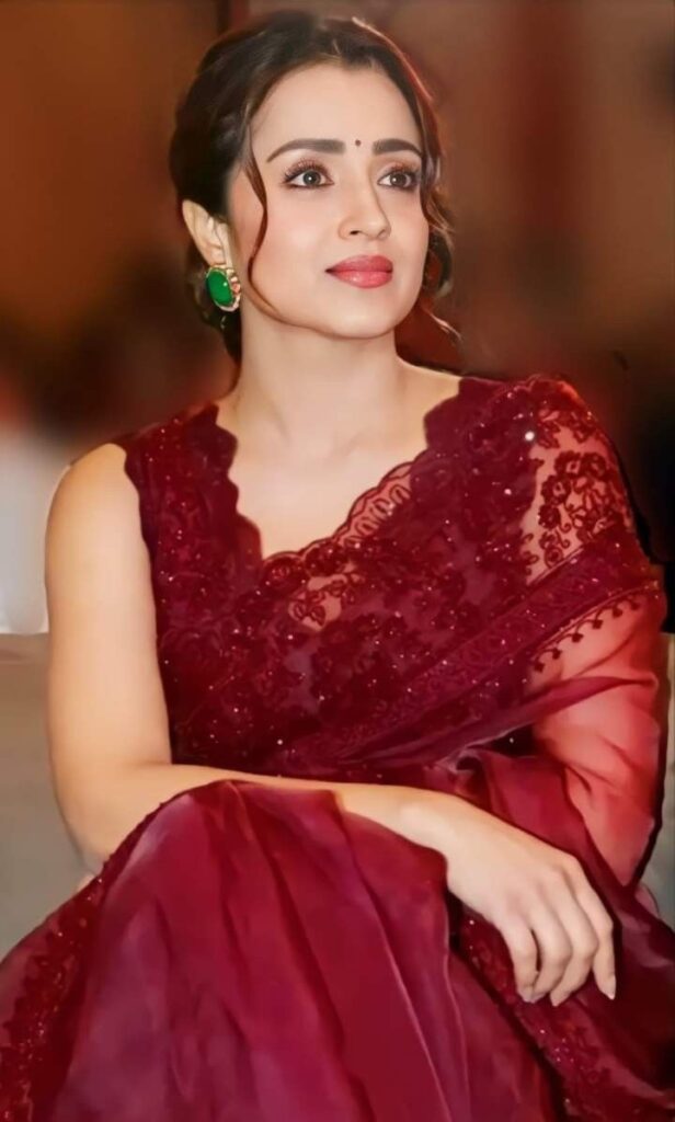 Trisha Krishnan Biography: South Indian Star's Epic Journey